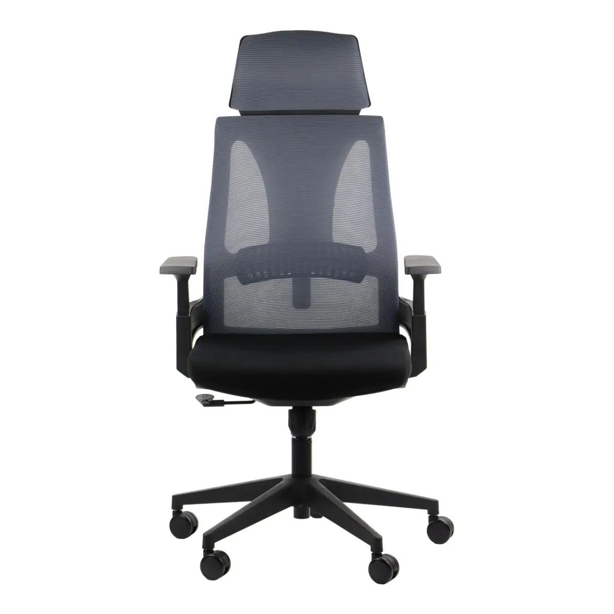 Ergonomic Chair OLTON H - Envision Optimal Support | ErgoSpace®